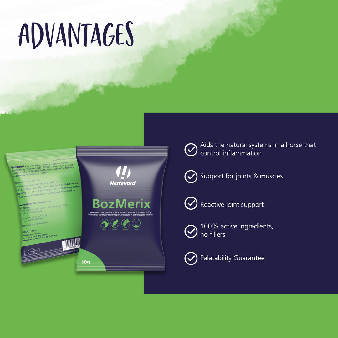 BozMerix – Hestevard