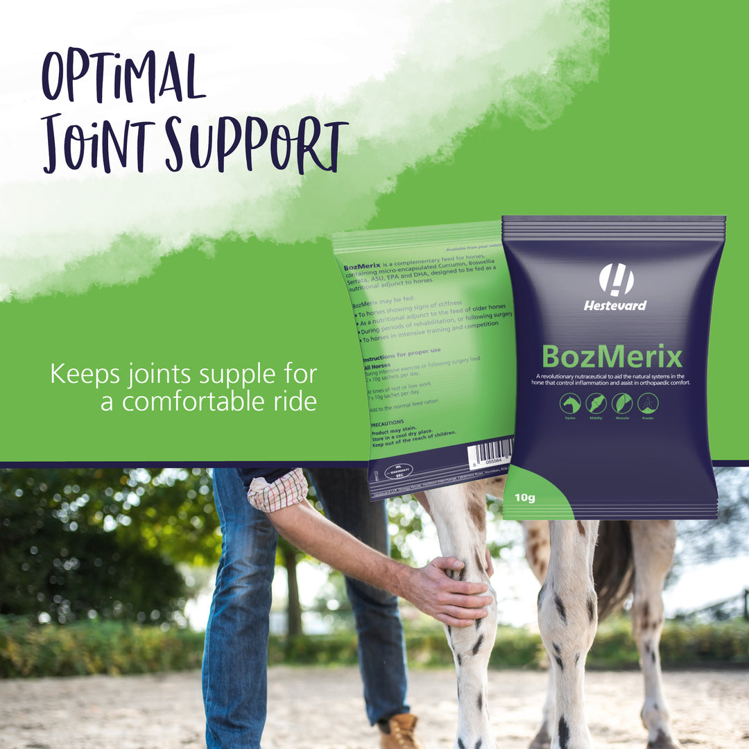 BozMerix – Hestevard