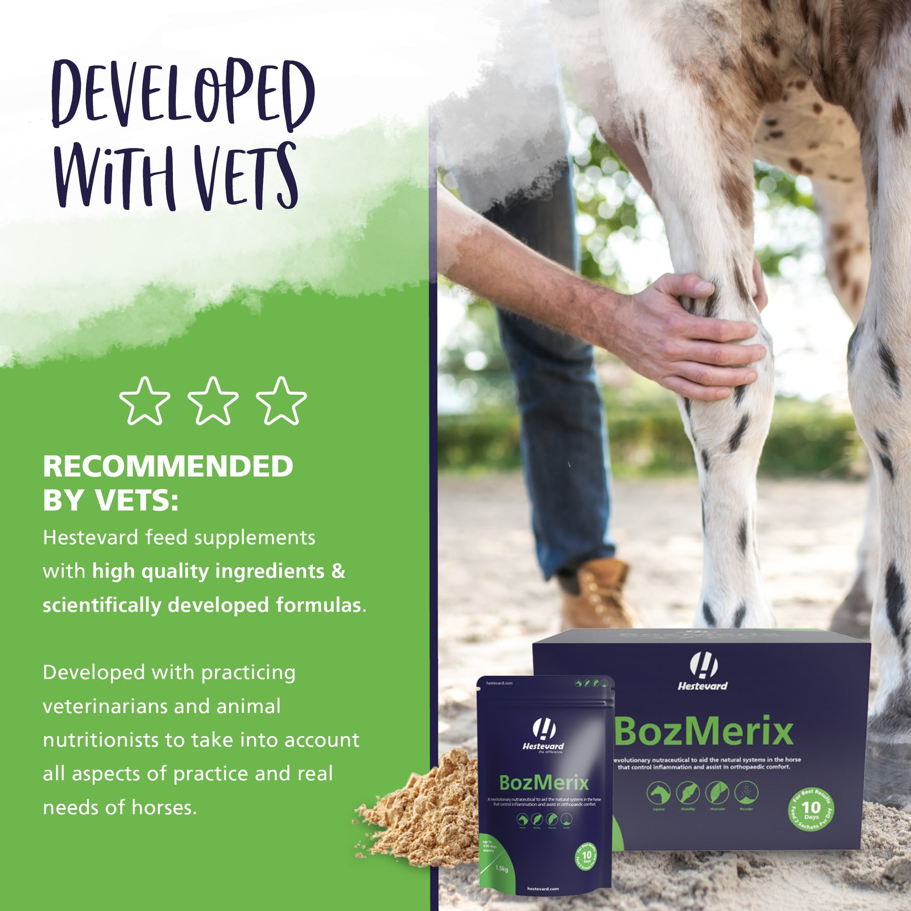 BozMerix – Hestevard