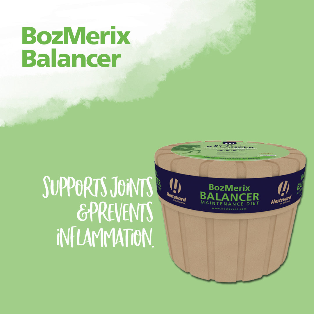 BozMerix Balancer Maintenance Diet – Hestevard