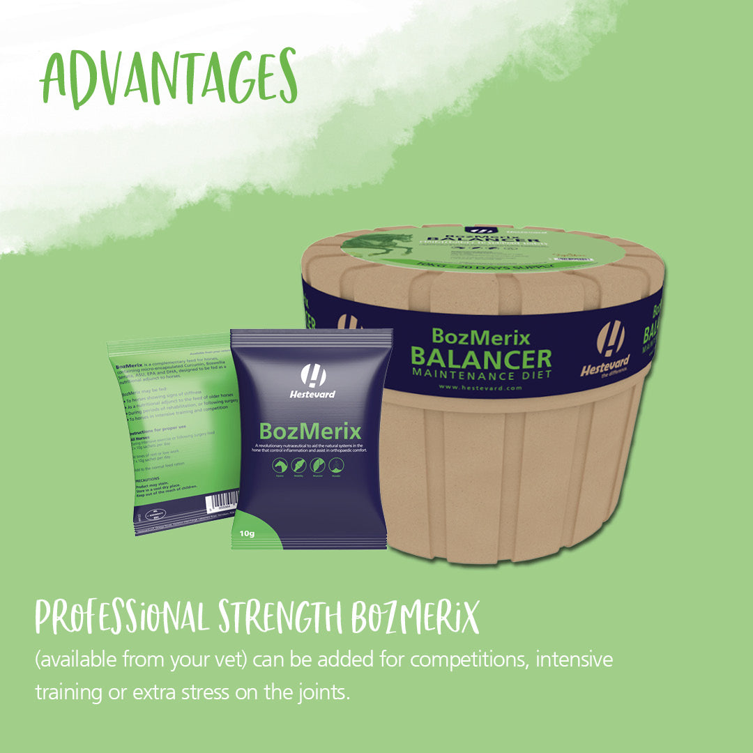 BozMerix Balancer Maintenance Diet – Hestevard