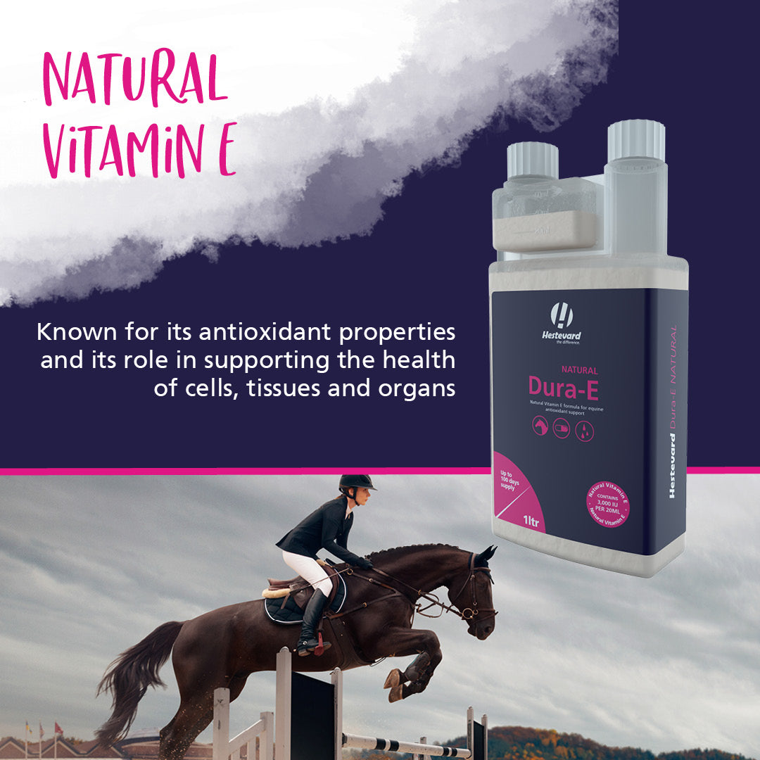 Dura-E NATURAL – Hestevard