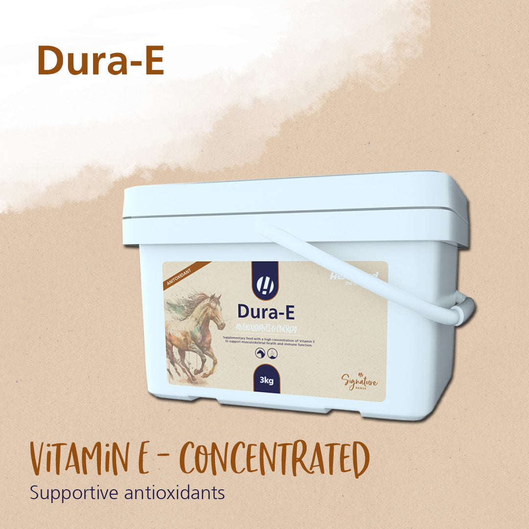 Dura-E – Hestevard UK