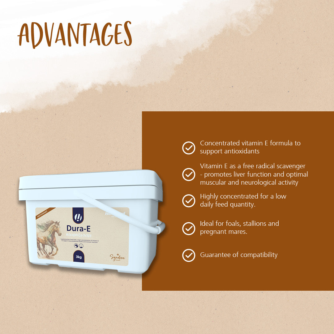 Dura-E – Hestevard