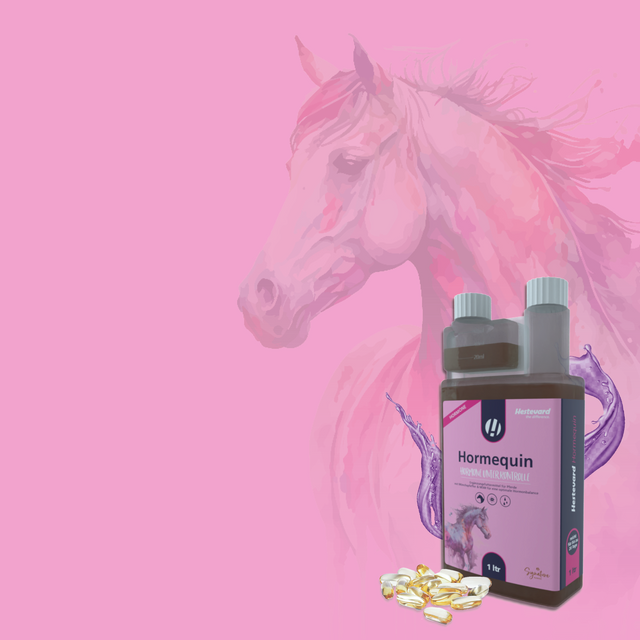The Hestevard range of Equine Supplements