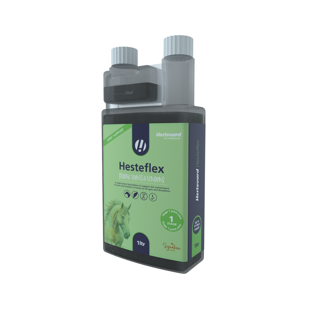 Mobility – Hestevard