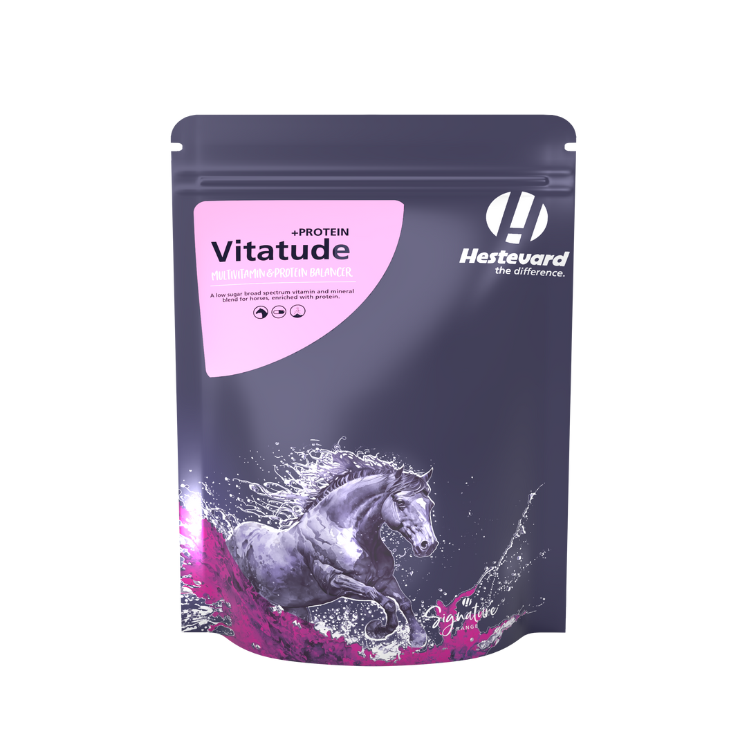 Vitatude +Protein – Hestevard