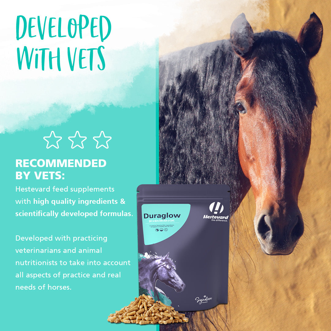 Duraglow – Hestevard