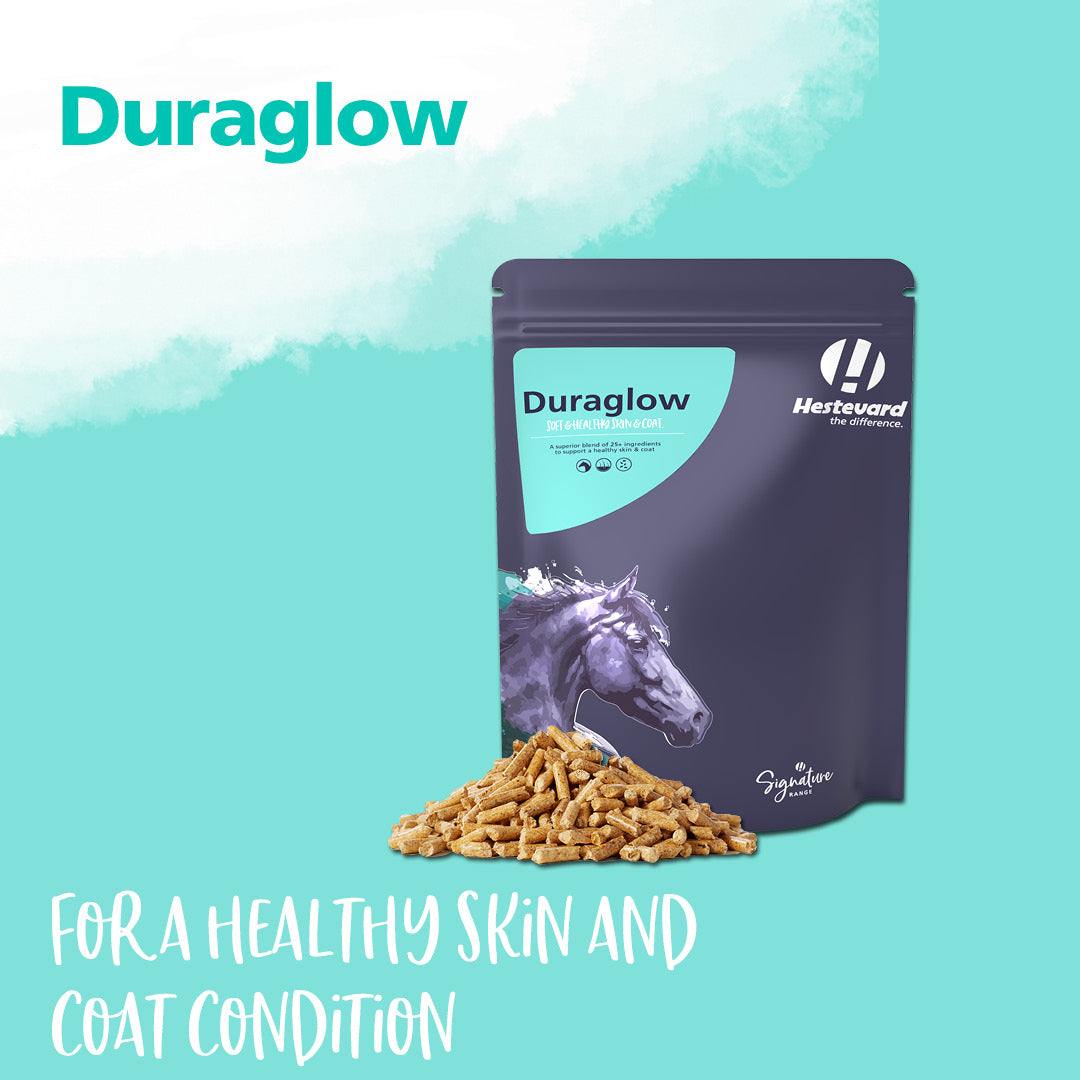 Duraglow – Hestevard