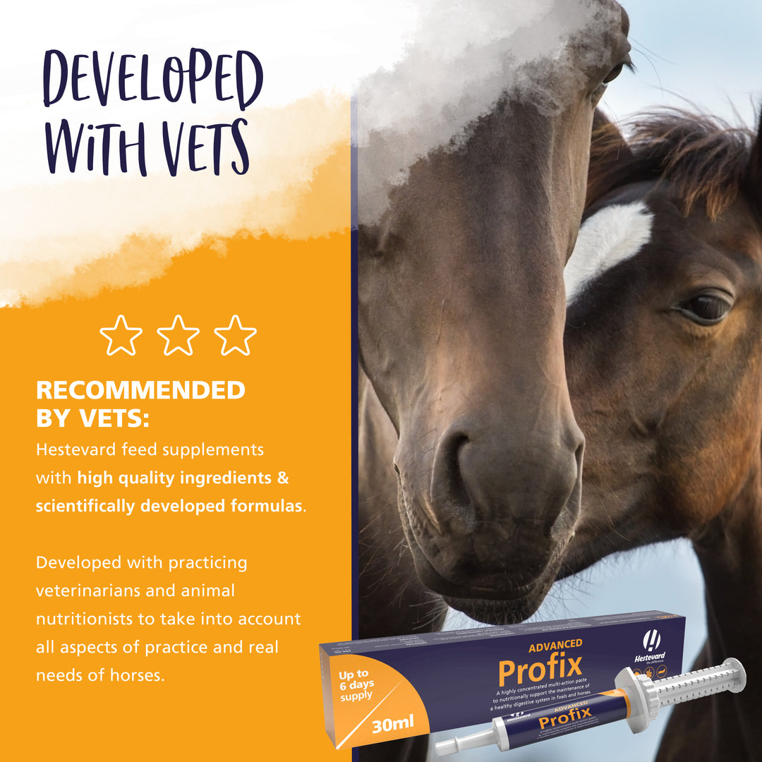 Profix ADVANCED – Hestevard