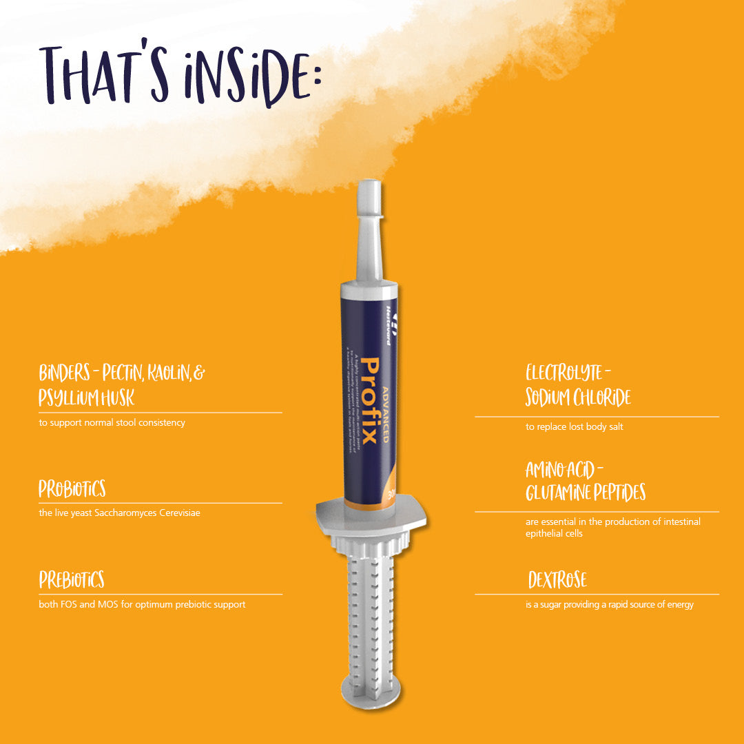 Profix ADVANCED – Hestevard