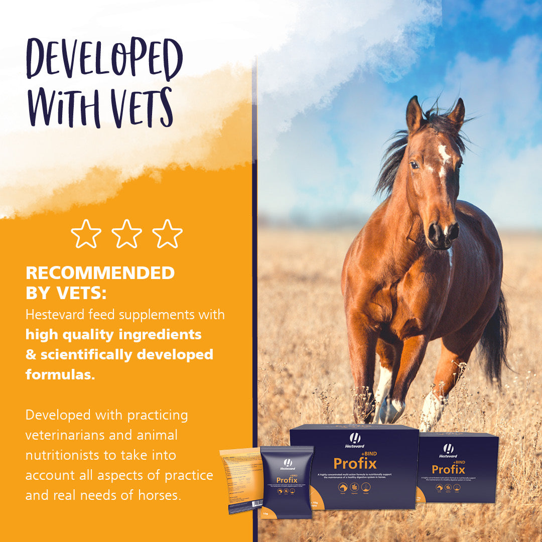 Profix +BIND – Hestevard