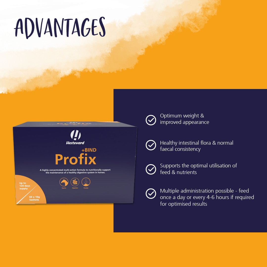 Profix +BIND – Hestevard