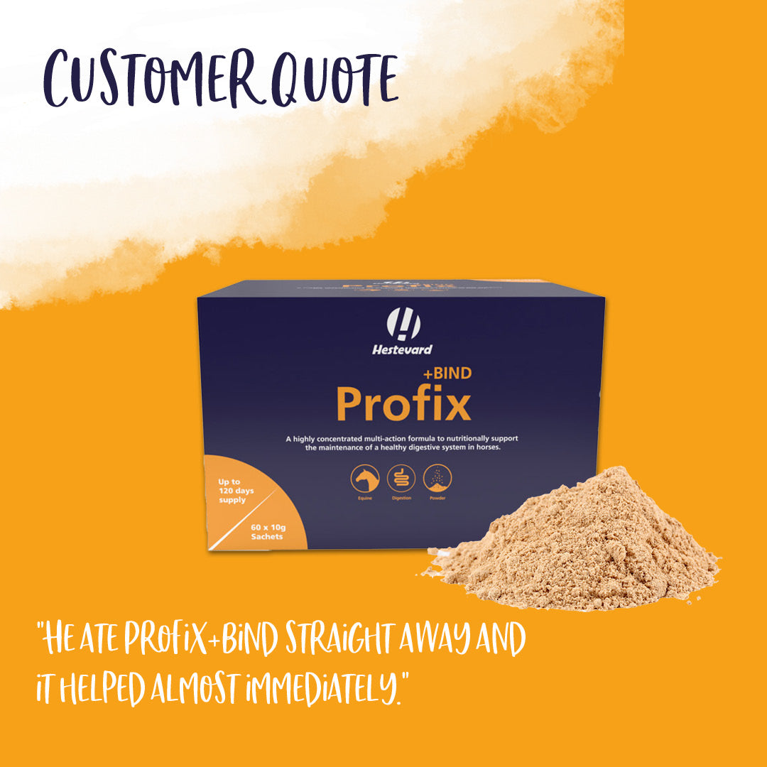 Profix +BIND – Hestevard