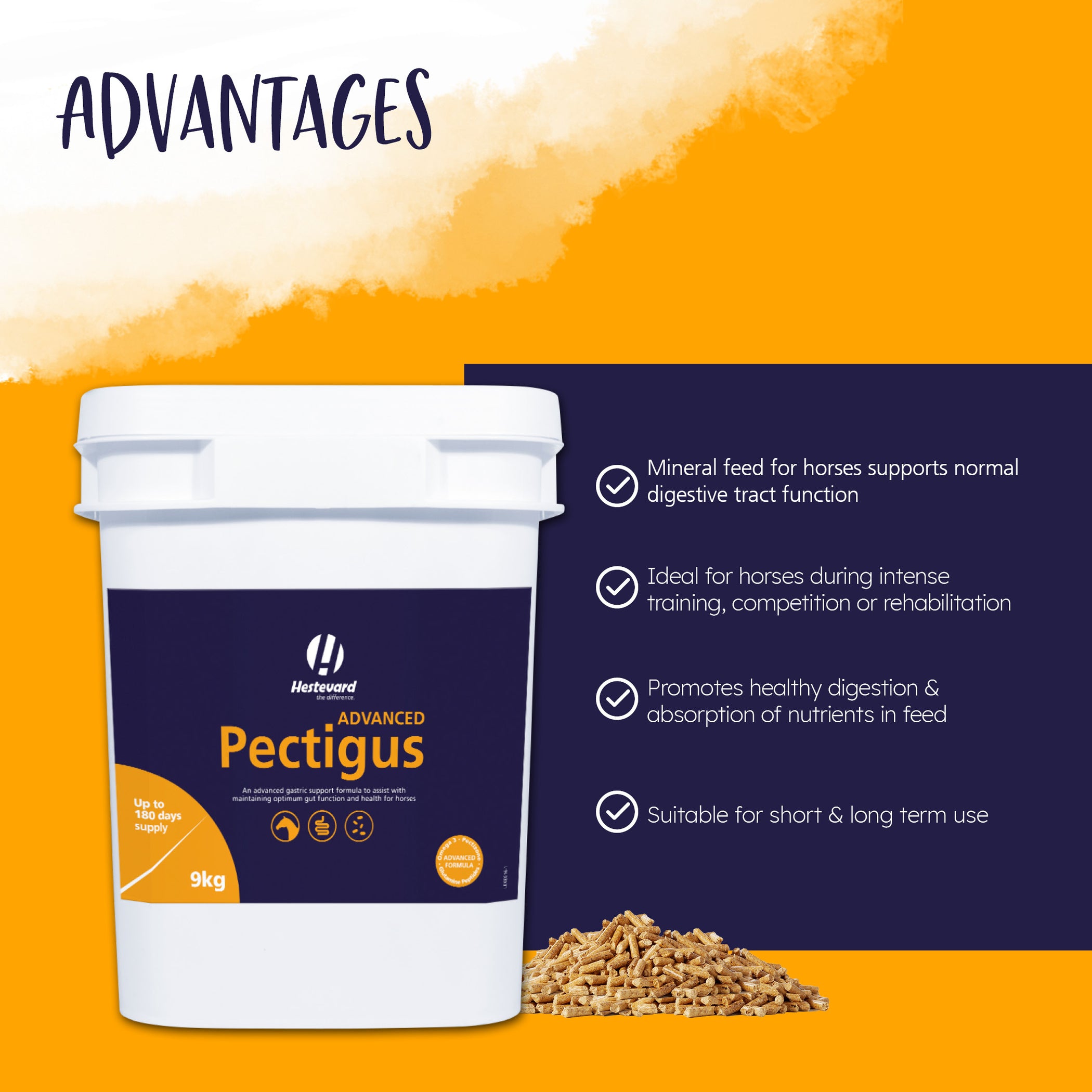 Pectigus ADVANCED – Hestevard