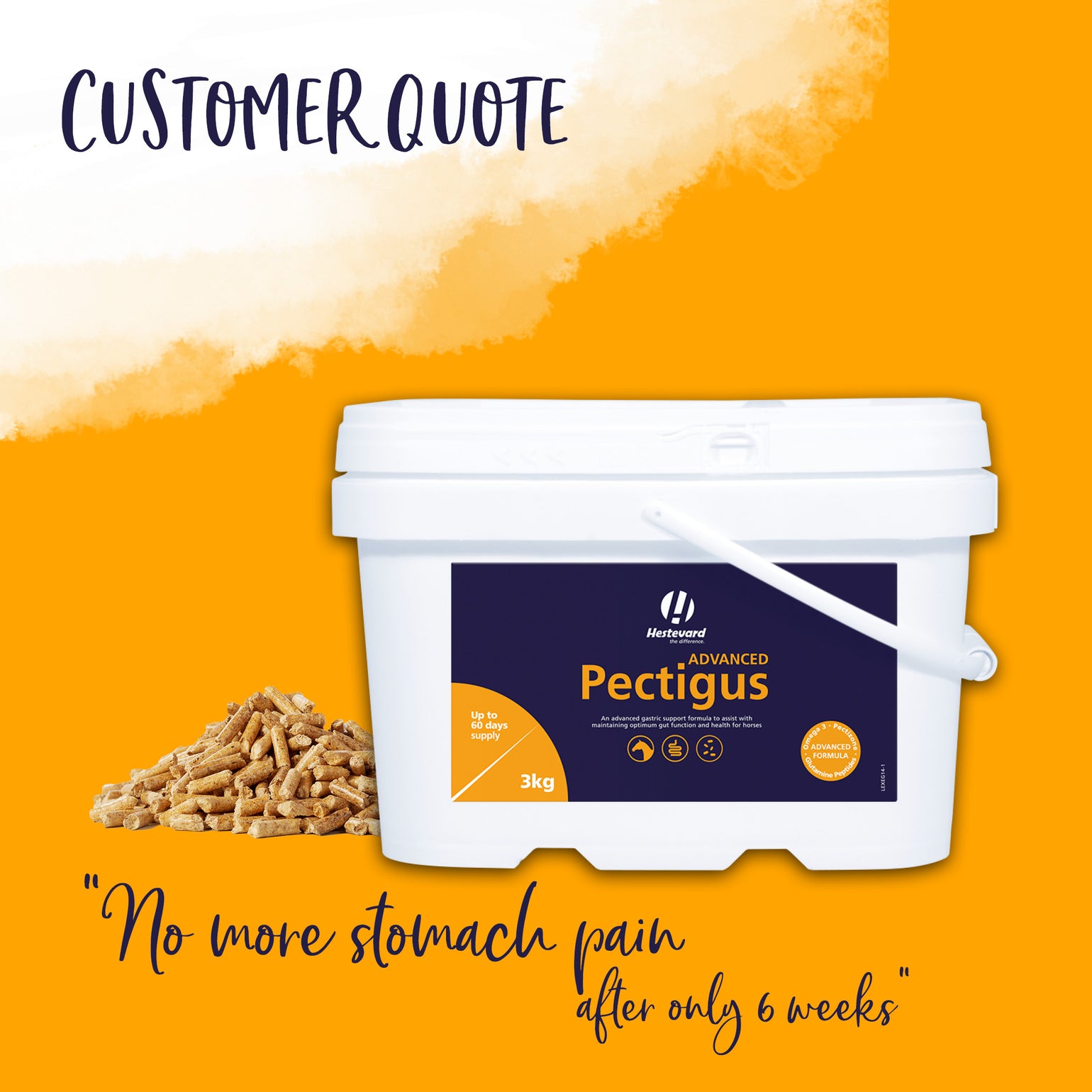 Pectigus ADVANCED – Hestevard