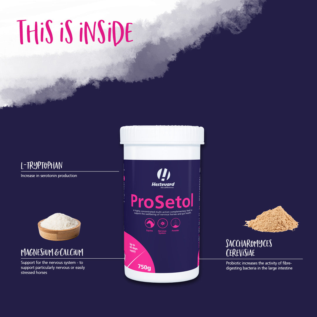 ProSetol – Hestevard