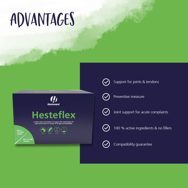 Hesteflex – Hestevard