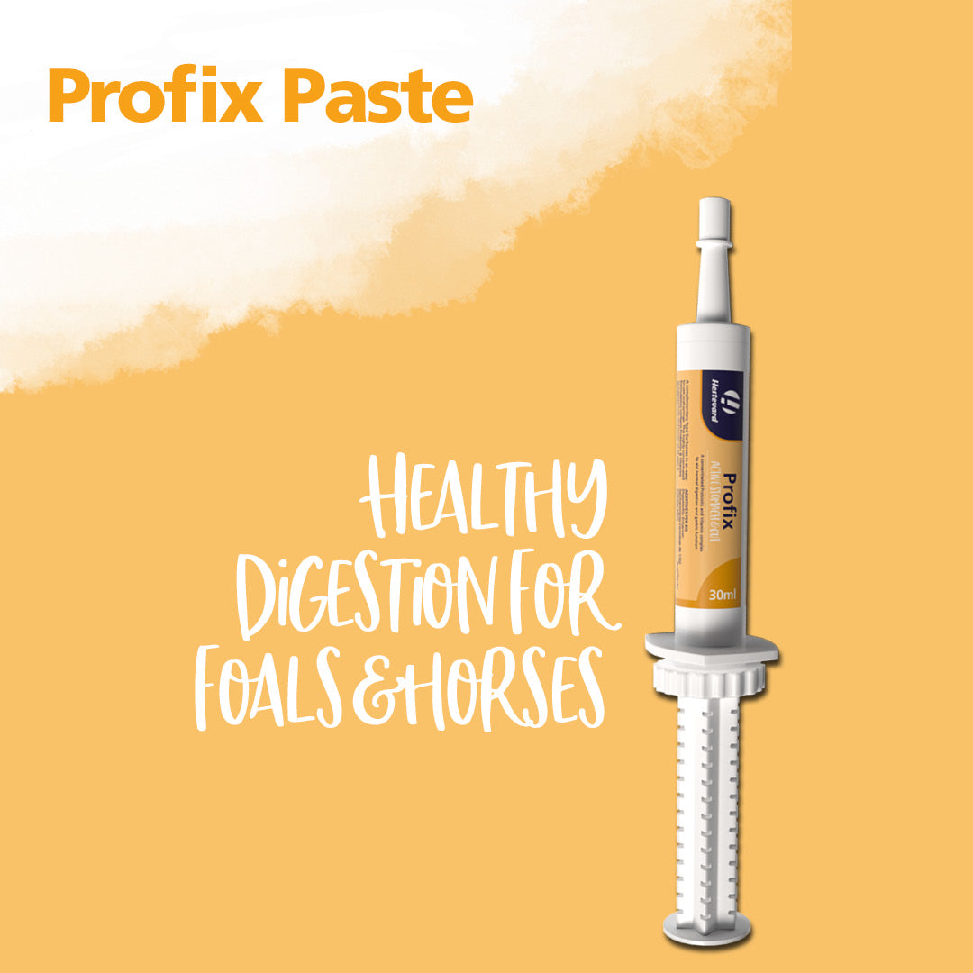 Profix Paste Oral Syringe – Hestevard