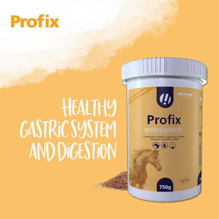 Profix – Hestevard