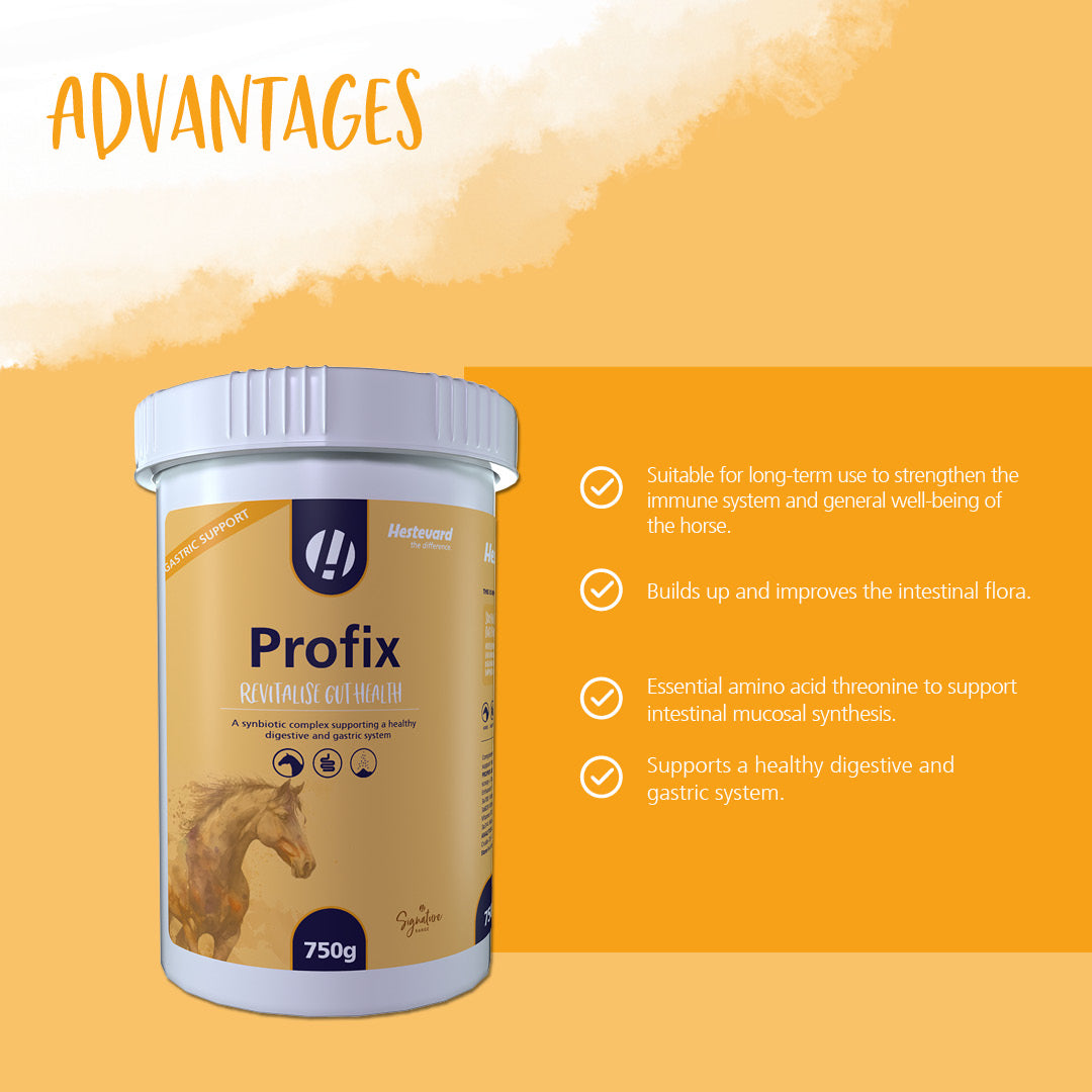 Profix – Hestevard