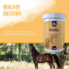 Profix – Hestevard