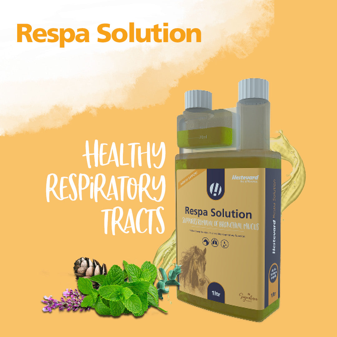 Respa Solution – Hestevard