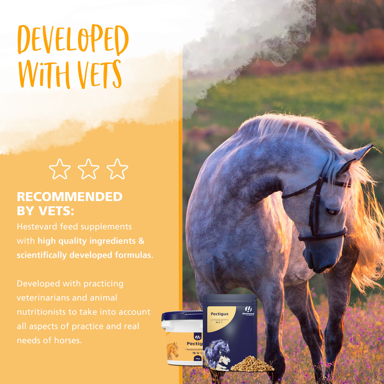 Pectigus – Hestevard