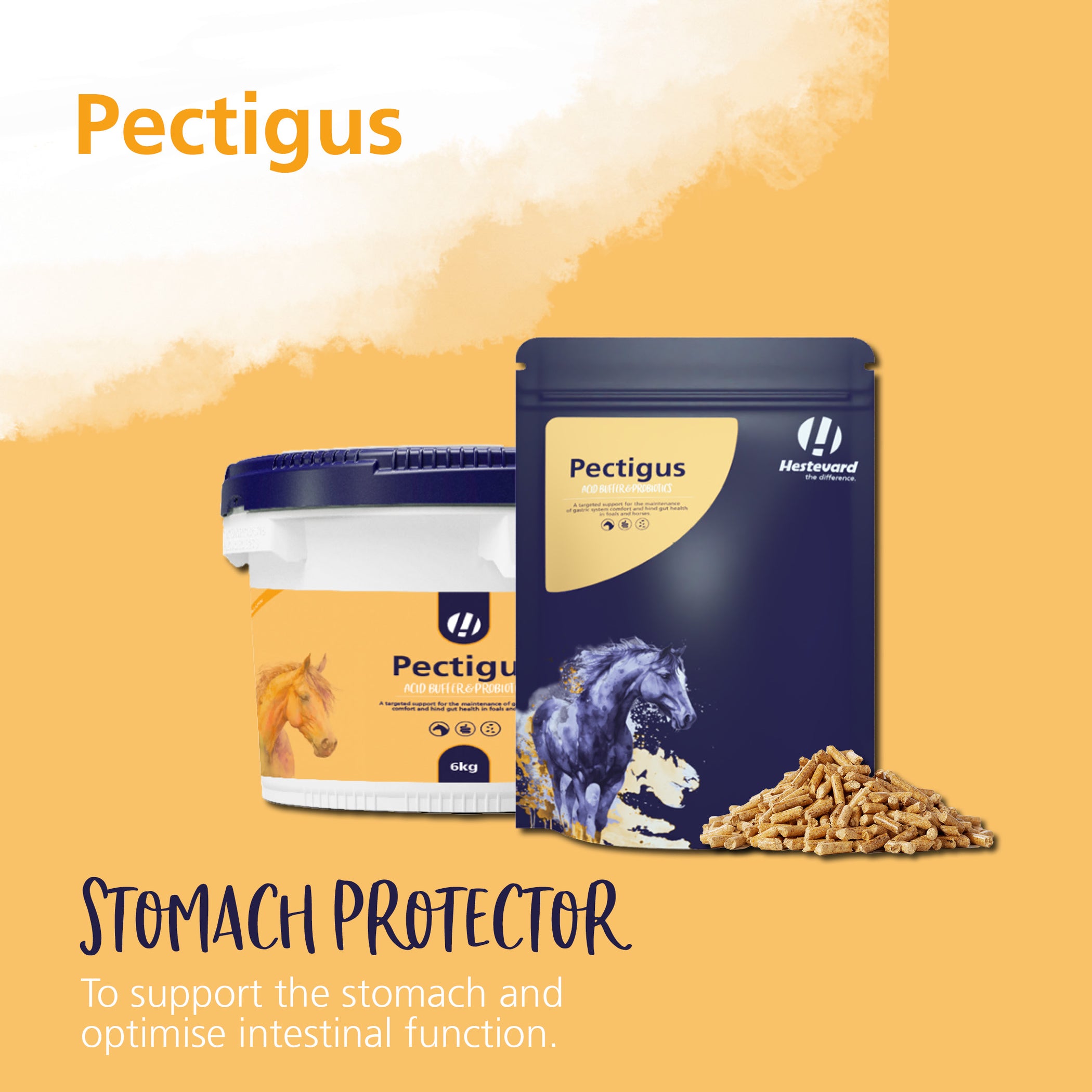 Pectigus – Hestevard