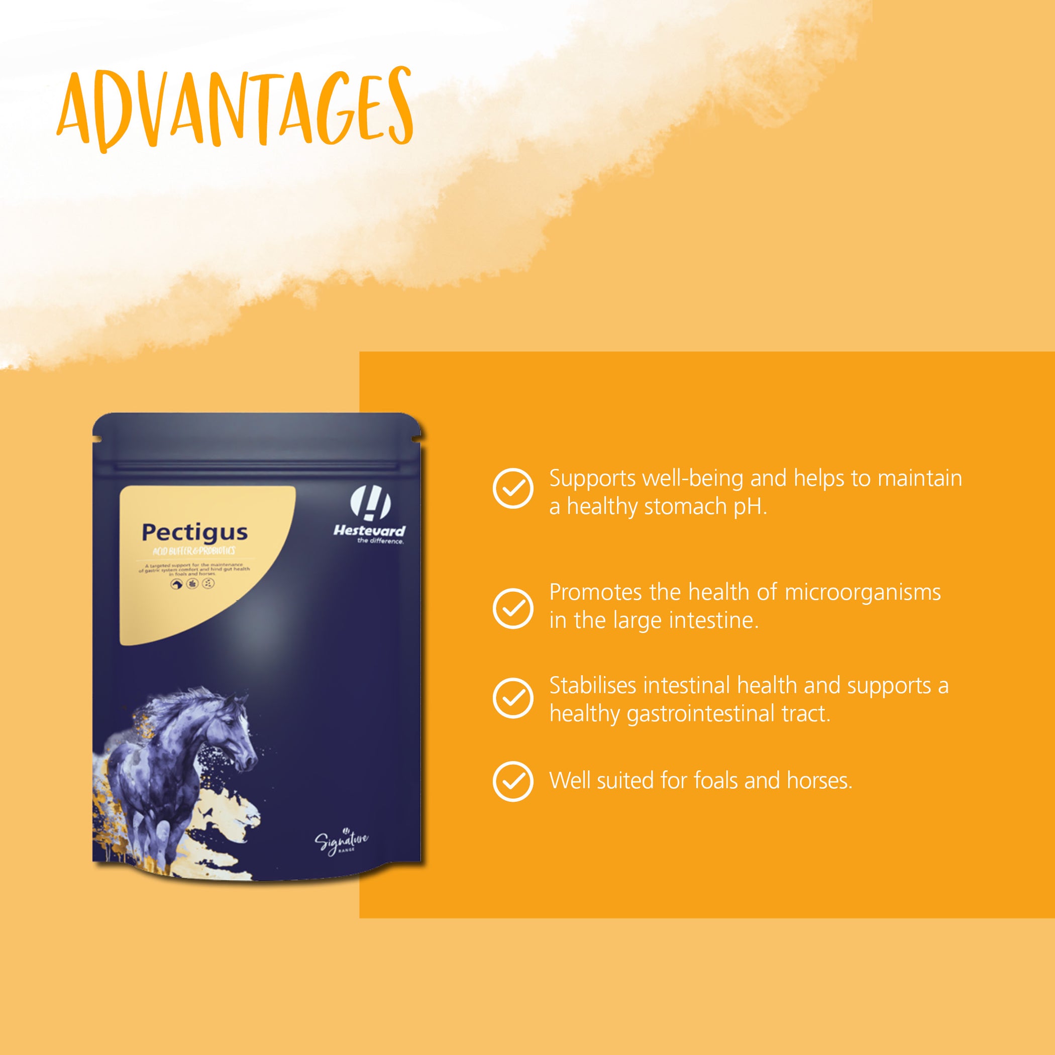 Pectigus – Hestevard