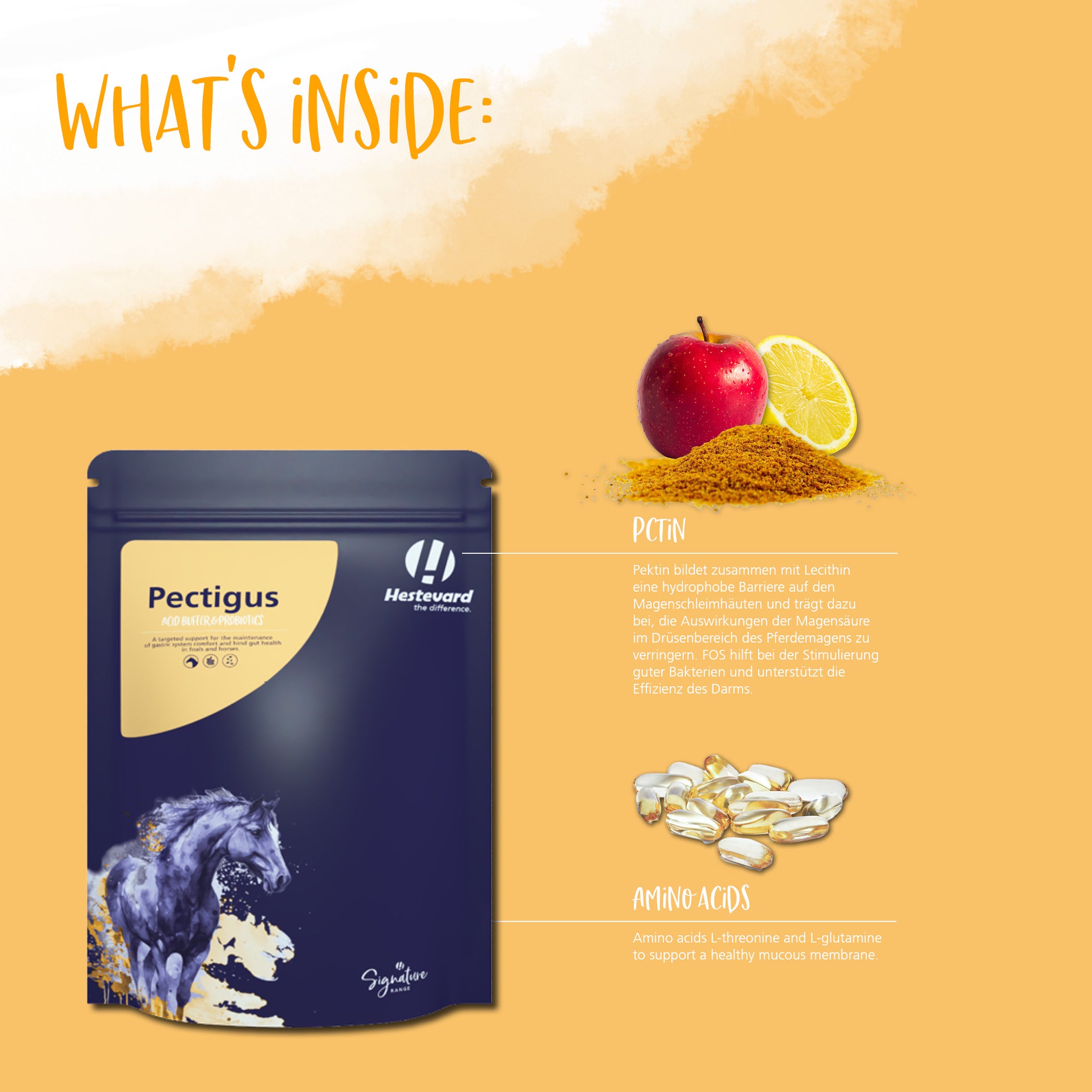 Pectigus – Hestevard