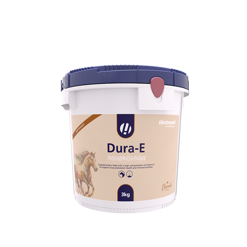 Vitamins & Minerals – Hestevard