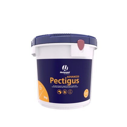 Pectigus ADVANCED – Hestevard