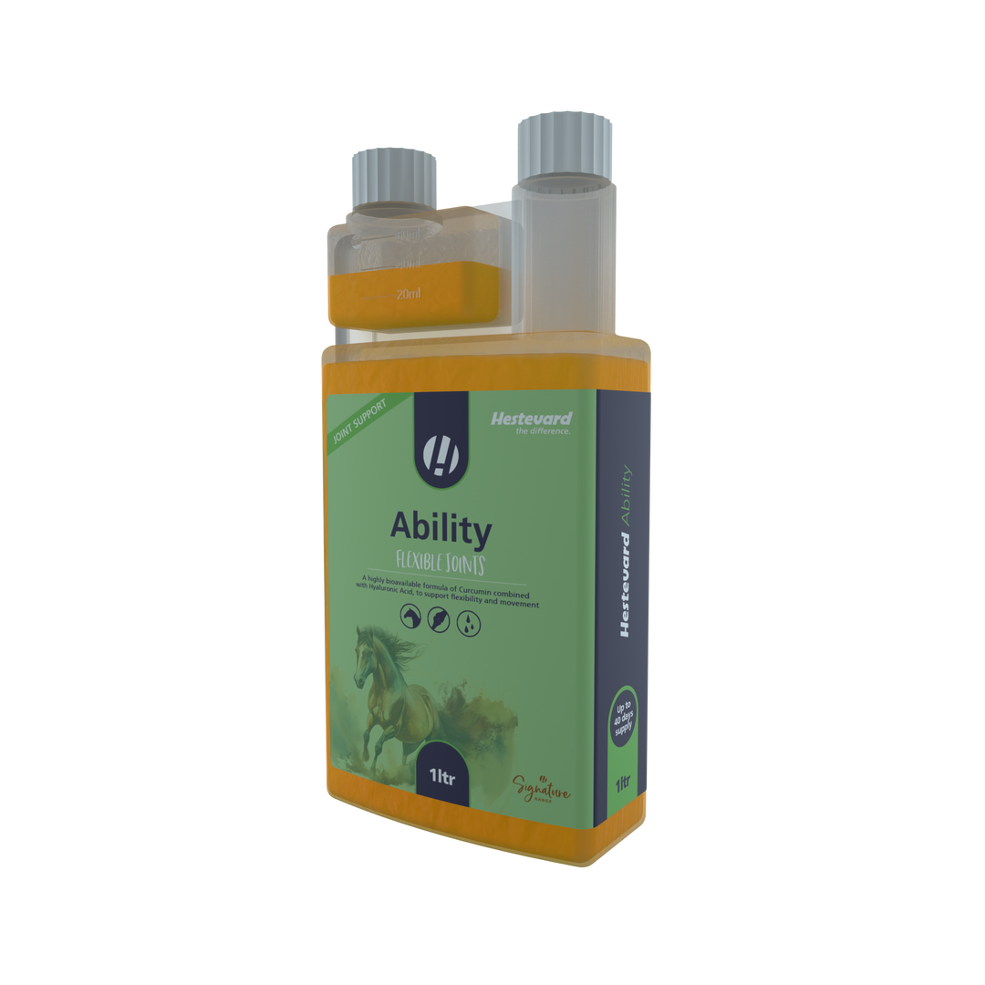 Ability – Hestevard