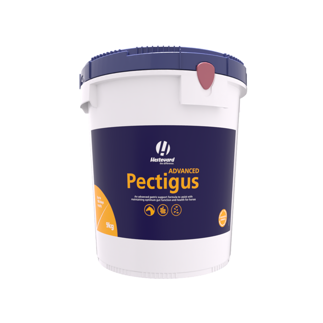 Pectigus ADVANCED – Hestevard